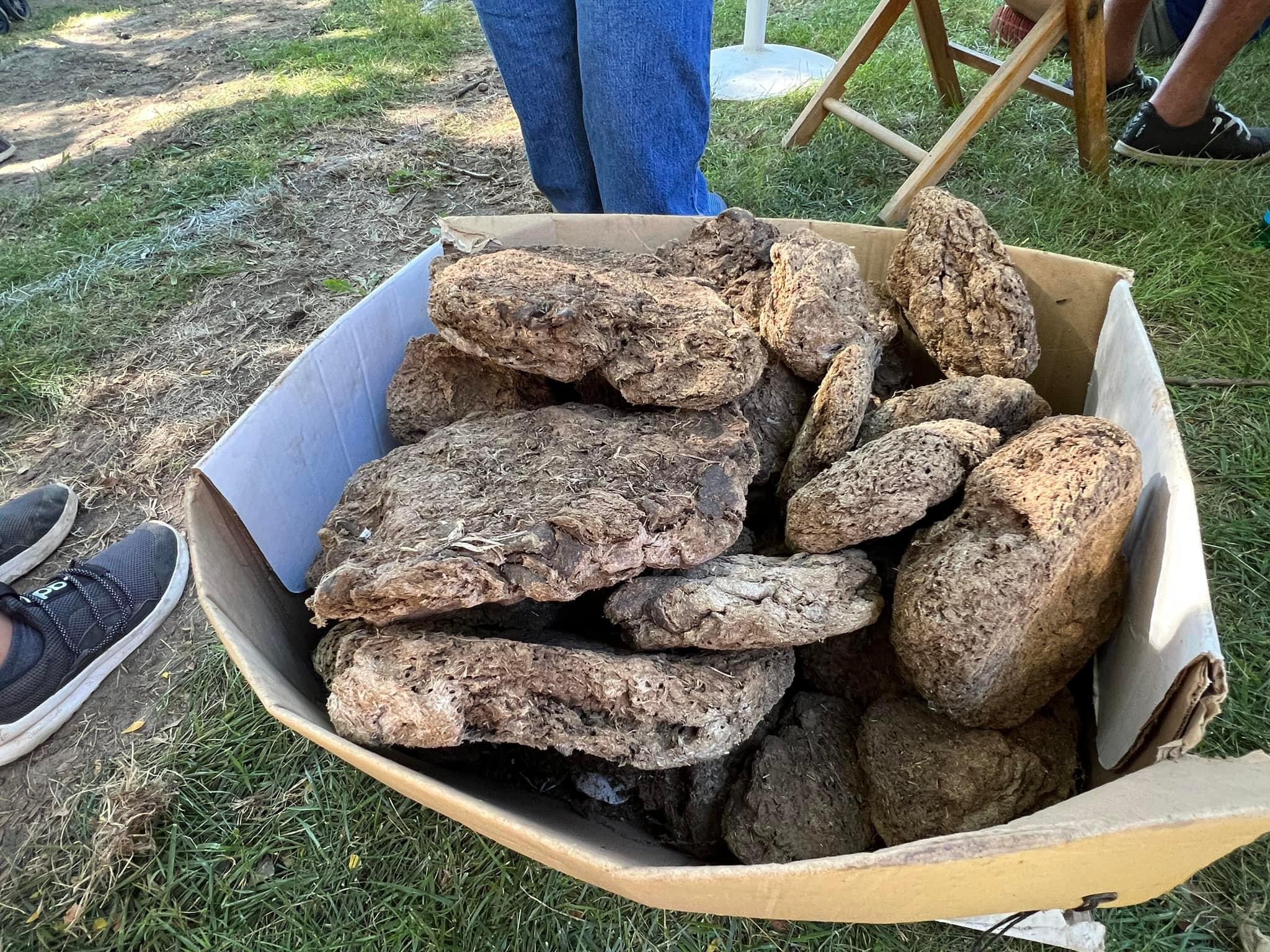 Cow Chip Throwing Contest | 93.3 KIOA